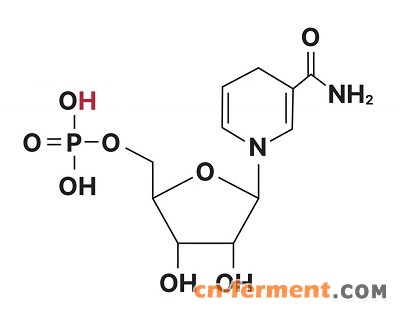 什么是NMNH（还原型NMN）