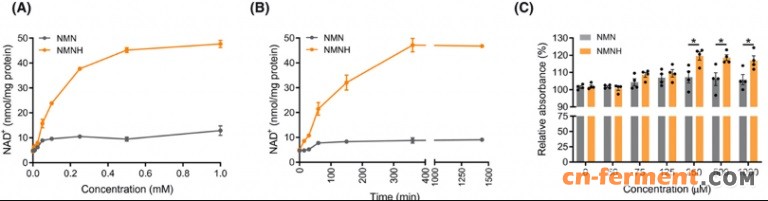 什么是NMNH（还原型NMN）