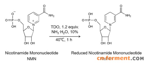 什么是NMNH（还原型NMN）