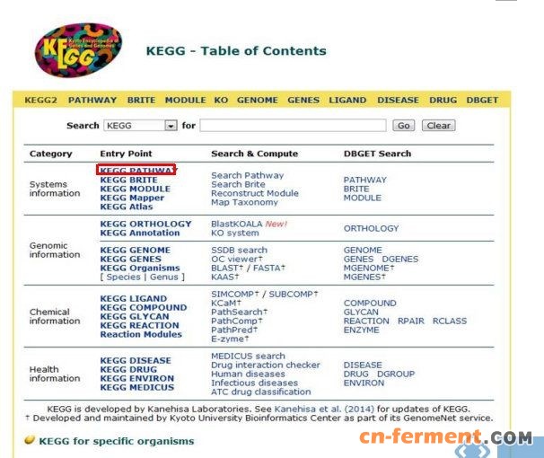 巧用KEGG数据库绘制pathway通路图