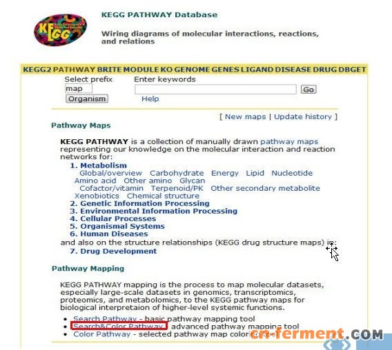 巧用KEGG数据库绘制pathway通路图